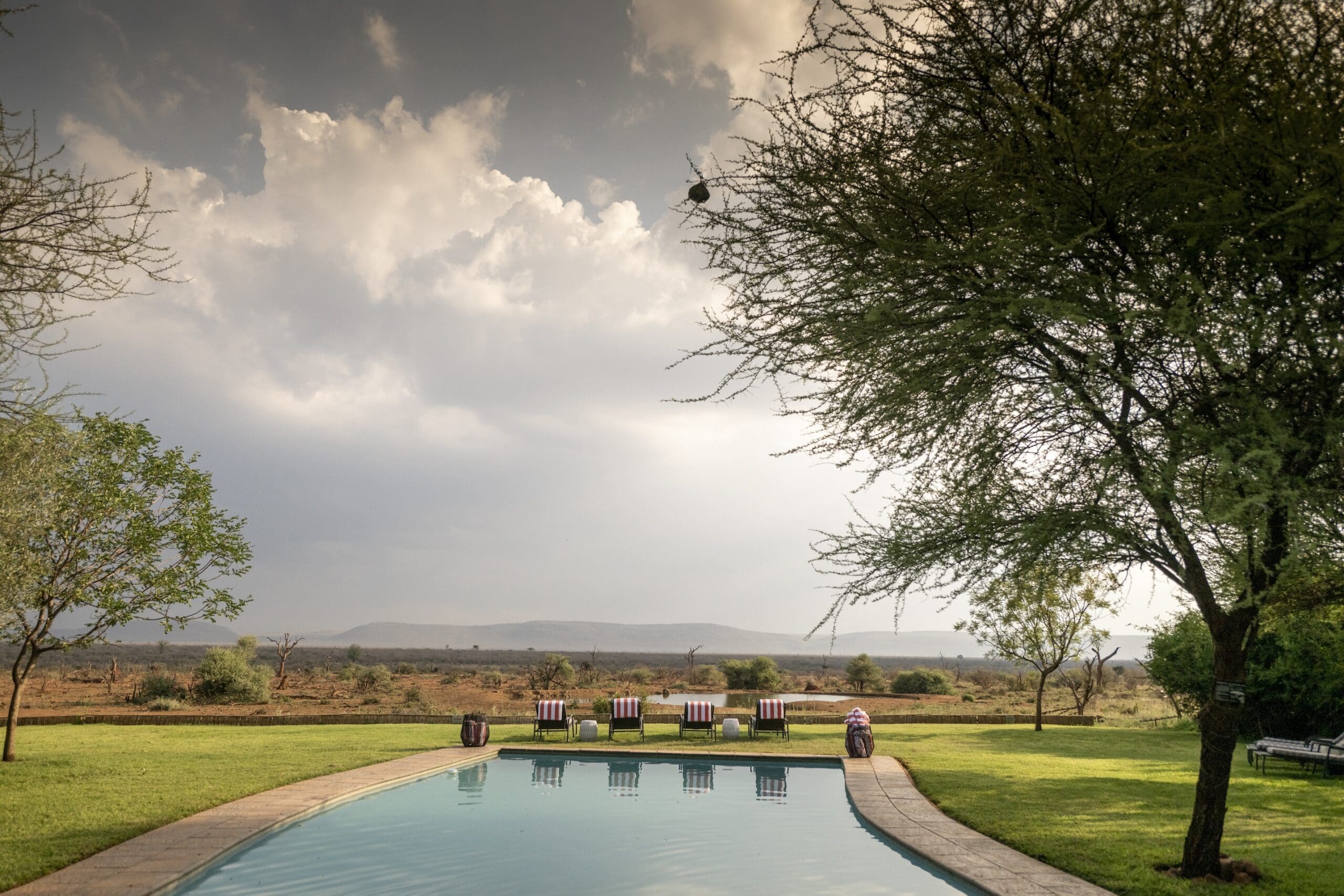 Gallery | Madikwe Safari Lodge