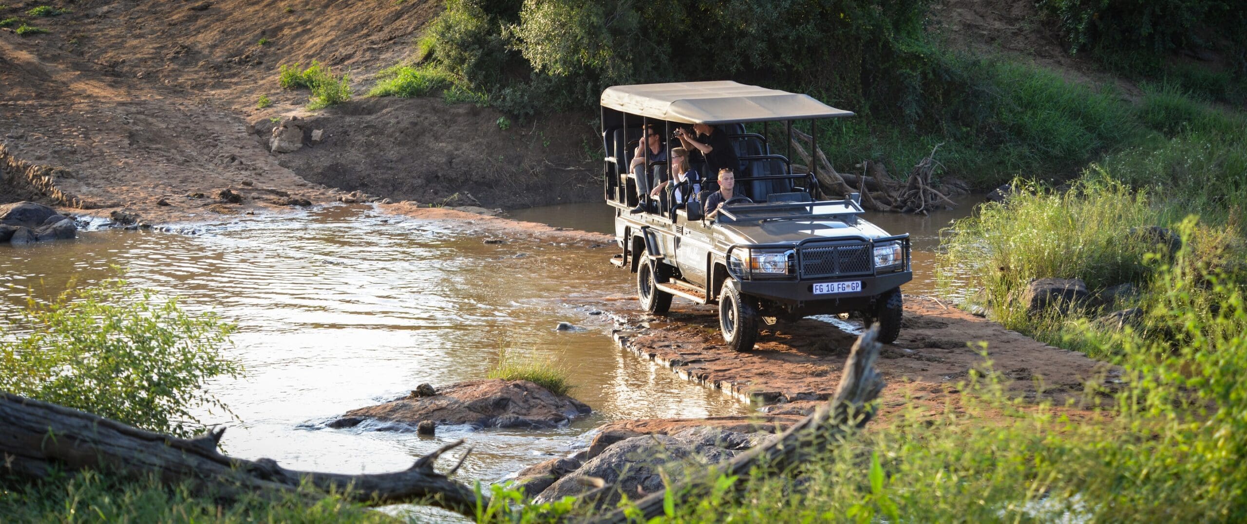 Gallery | Madikwe Safari Lodge