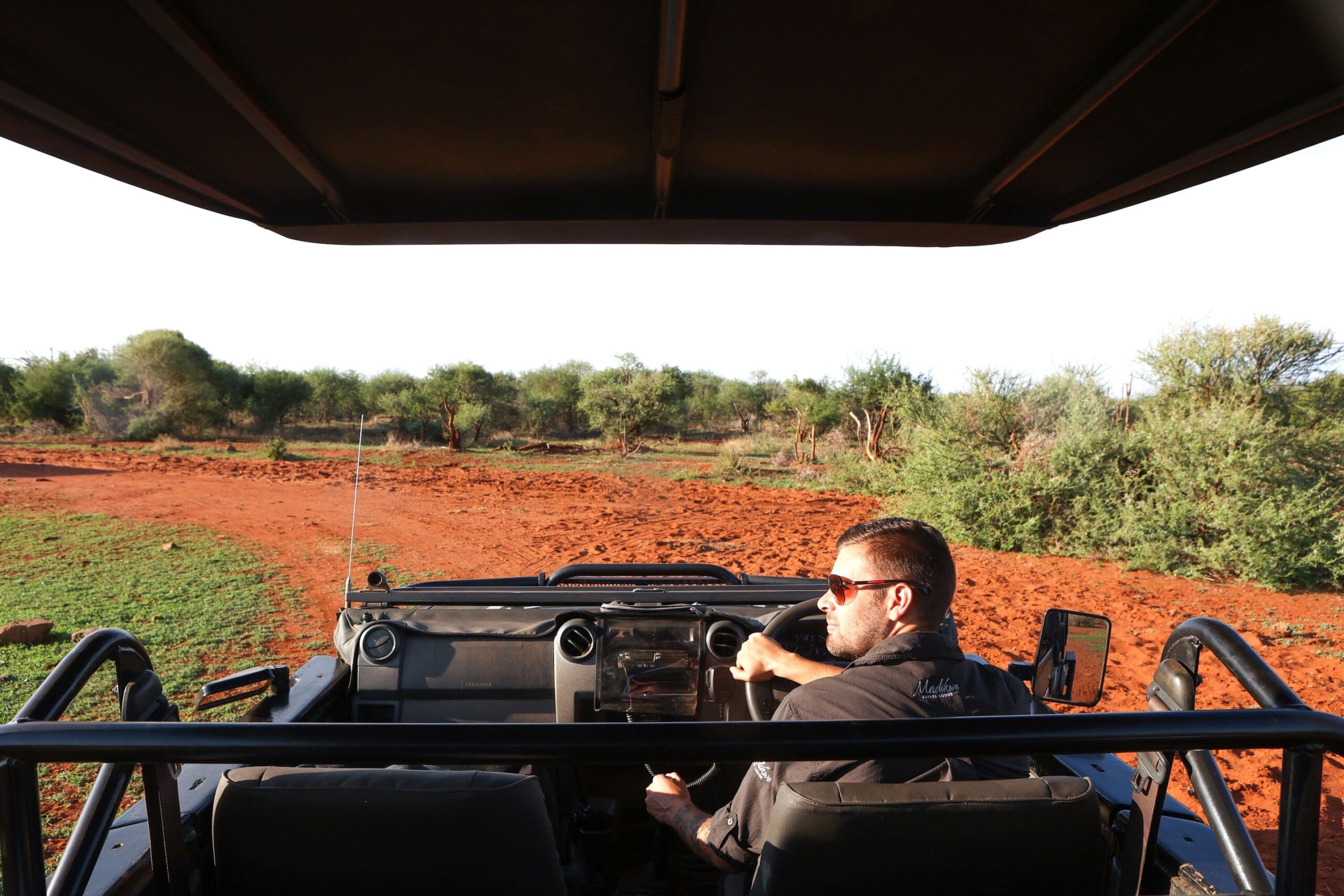 Gallery | Madikwe Safari Lodge